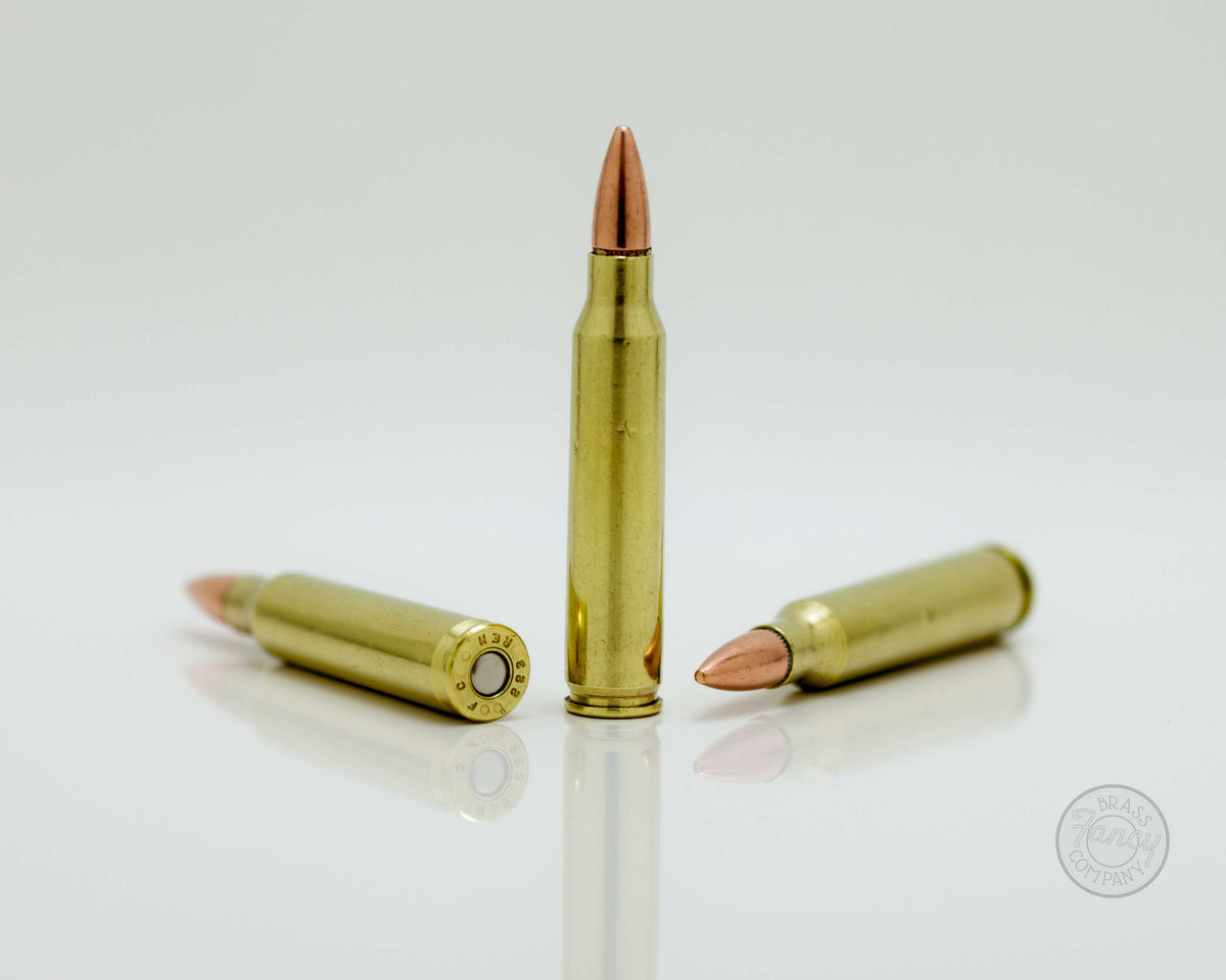 .223 Rem 55gr Ammunition