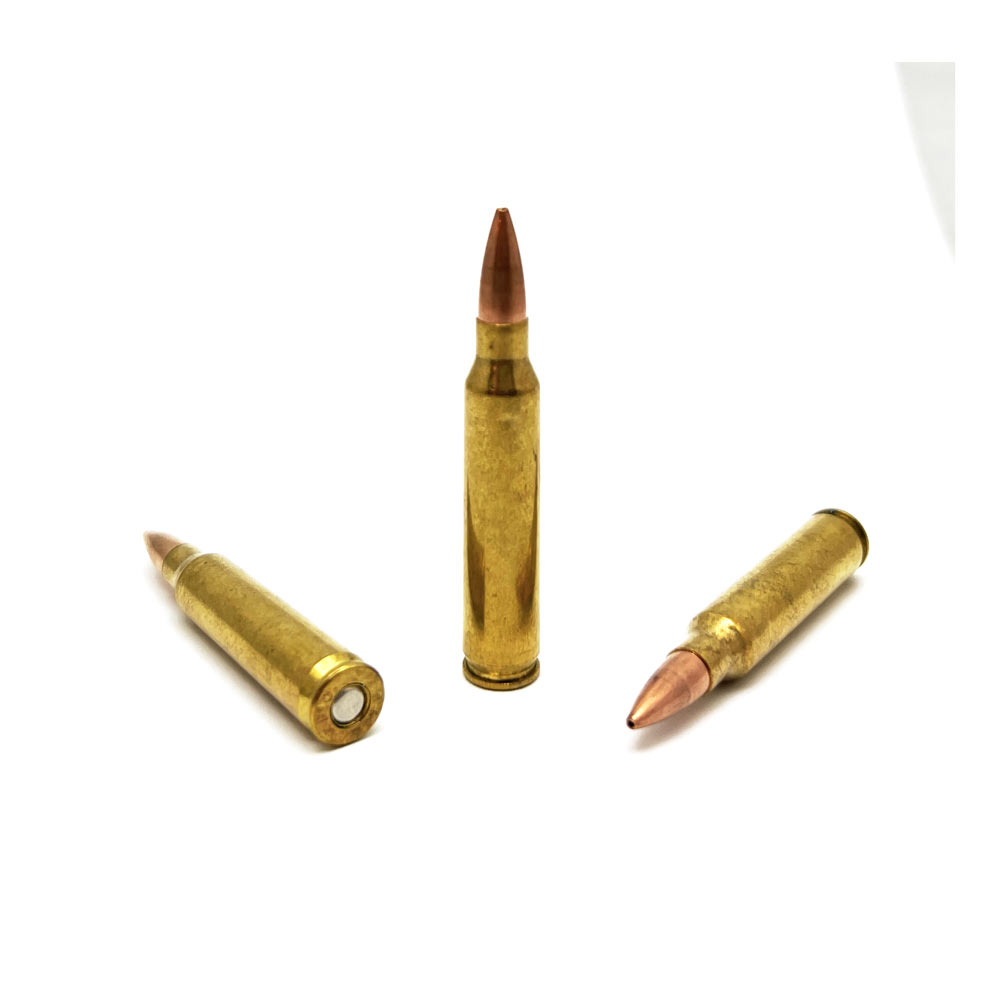 .223 Rem 77gr Sierra HPBT Match Ammunition
